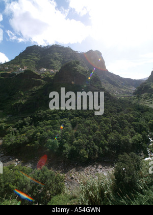rank vegetation of Madeira, valley Stock Photo - Alamy