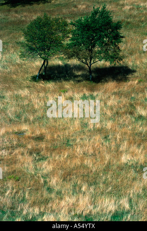 The Enfield Lookout at the Quabbin Reservoir, Massachusetts Stock Photo ...