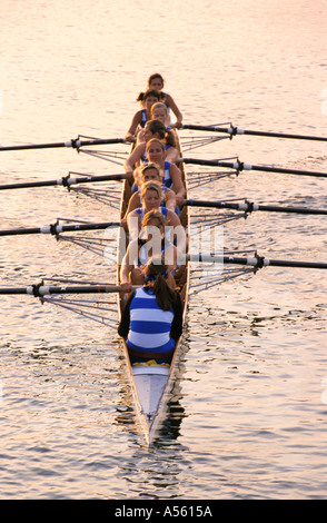 teamwork cooperation stockholms rowing club women team model released ...