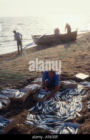 Traditional seine net fishing for mackerel in lerret boat off Chesil ...