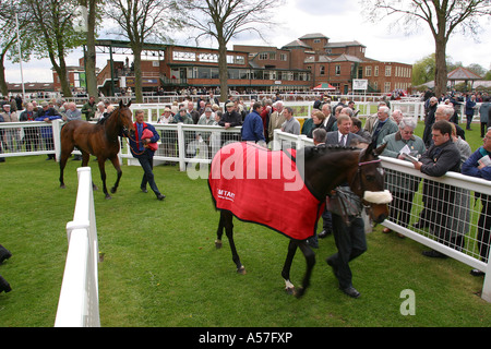 Ripon Racecourse, North Yorkshire Northern England Stock Photo - Alamy