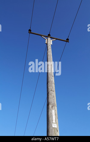 Wooden telegraph pole / pylon England , UK Stock Photo - Alamy