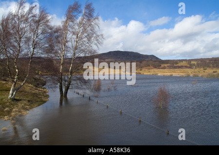 The River Spey at Kingussie, Highlands of Scotland Stock Photo - Alamy