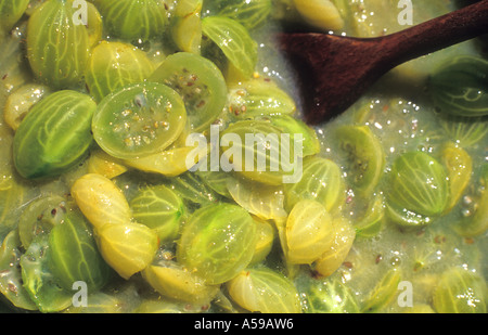 Gooseberries being cooked to make jam or compote They have been halved ...