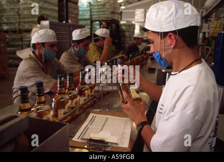tequila sauza production line tequila factory, tequila mexico Stock ...