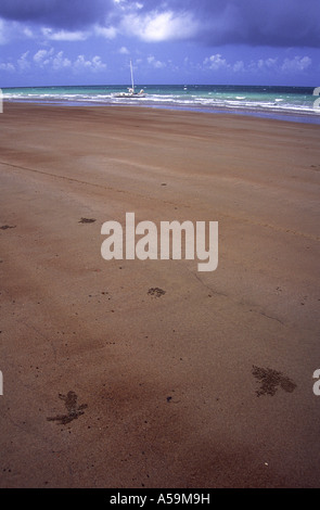 Daintree, Queensland. Beach at Cow Bay, Daintree Rainforest, Daintree ...