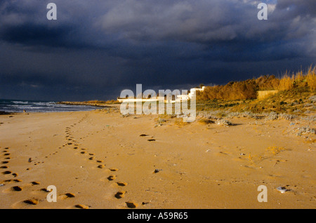 Storm over beach at Sour Southern Lebanon Stock Photo - Alamy