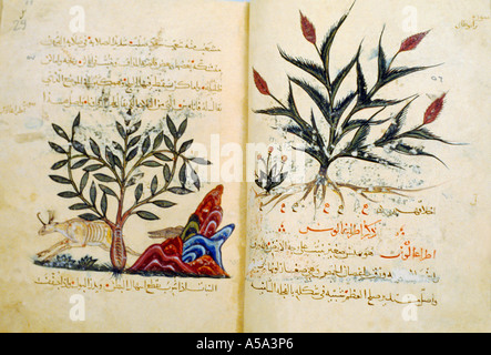 Istanbul Turkey Topkapi Manuscript Stock Photo - Alamy