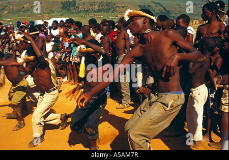 Members of the Zulu tribe performing their traditional dance South Africa Stock Photo - Alamy