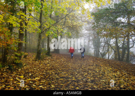 Gnoll Country Park, Neath, Neath Port Talbot, South Wales Stock Photo ...