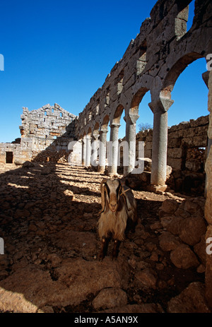 The lost Byzantine city of Aleppo Syria Stock Photo - Alamy