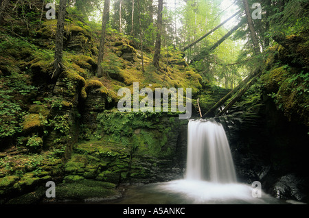 Waterfall on Corral Creek upper Kispiox river valley British Columbia ...