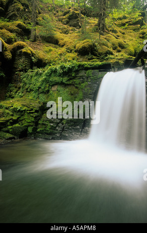 Waterfall on Corral Creek upper Kispiox river valley British Columbia ...