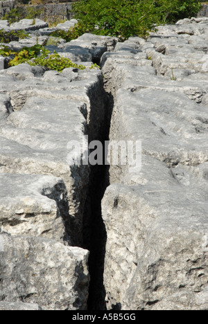 A deep Gryke in Limestone Pavement Stock Photo - Alamy