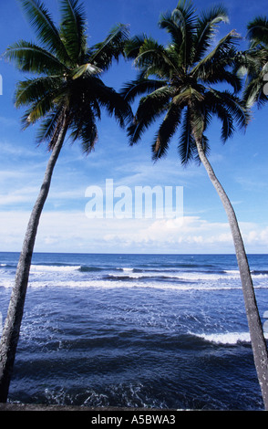 Palm trees at the famous Matavai Bay associated with the Bounty ...