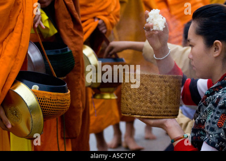 Buddhist Women Make Offering of Sticky Rice During Morning Alms Udomxai ...