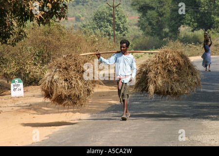 Indian man carrying hay on head Rajasthan India Stock Photo - Alamy