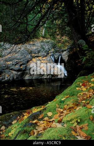 Howe Brook Baxter State Park ME A stream in fall Stock Photo - Alamy