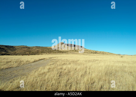 Pecos area in Texas state, USA Stock Photo - Alamy