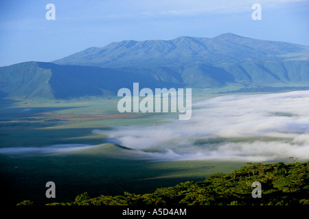 Ngorongoro crater aerial view, Tanzania, Africa. Tanzania landscape ...