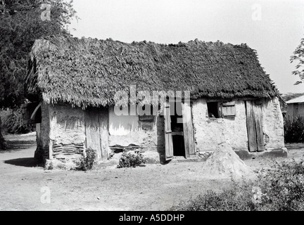 Mayan thatched hut in a rural part of Yucatan Mexico Stock Photo - Alamy