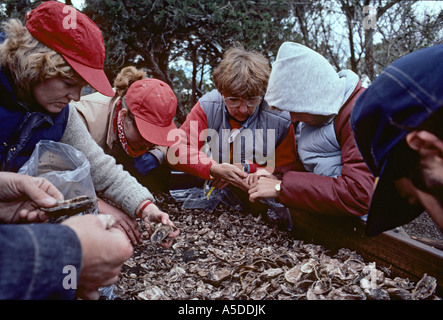 Archaeologists screening artifacts at an archaeological excavation at ...