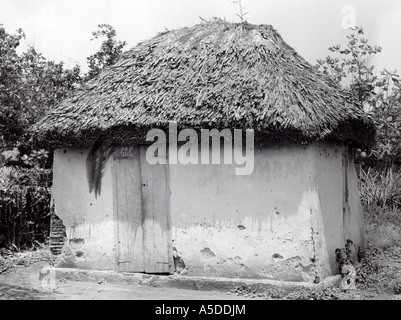 Mayan thatched hut in a rural part of Yucatan Mexico Stock Photo - Alamy