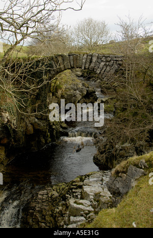 Packhorse bridge over Gayle Beck. Thorns Gill, Yorkshire Dales National ...