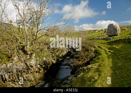 Packhorse bridge over Gayle Beck. Thorns Gill, Yorkshire Dales National ...