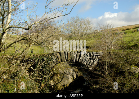 Packhorse bridge over Gayle Beck. Thorns Gill, Yorkshire Dales National ...