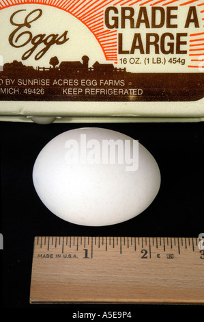 Egg, Large, Ruler Stock Photo - Alamy