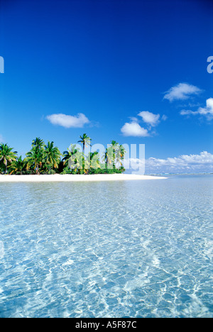 Palm trees view tropical island and blue sky - summer holidays travel ...