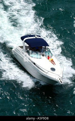 Power Boating across Sydney Harbour Australia Stock Photo - Alamy