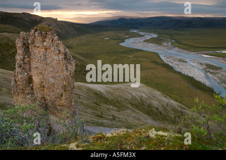 Muskeg Creek area, Firth River. Ivvavik National Park. Yukon Territory ...