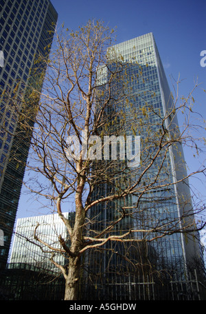 Lehman Brothers, 25 Bank Street, Canary Wharf, London, 2004. Open plan ...