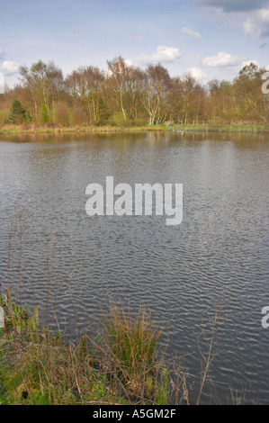Black Lake Lindow Common Cheshire Stock Photo - Alamy