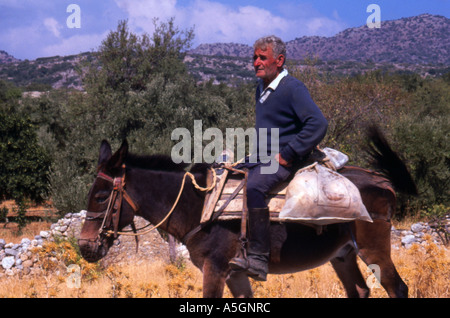 Greek farmer with his donkeys Stock Photo: 36305803 - Alamy
