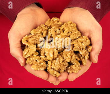 MAN HOLDING WALNUT HALVES Stock Photo - Alamy