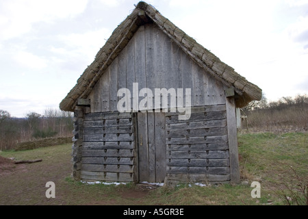Anglo Saxon house built of timber with thatched roof and mud daub walls ...