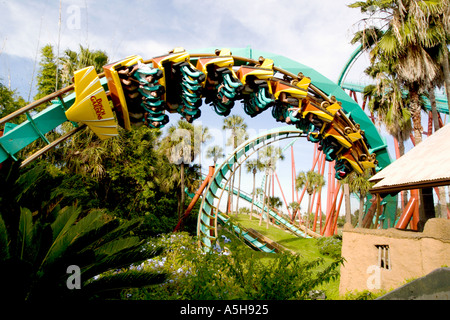 Kumba roller coaster at Busch Gardens theme park in Tampa, Florida, USA ...