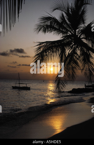pansea beach island of ko phuket thailand Stock Photo - Alamy