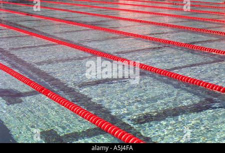 swimming pool with racing lane markers Stock Photo - Alamy