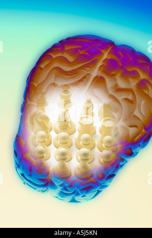 Human Brain with Chess Pieces Stock Photo - Alamy