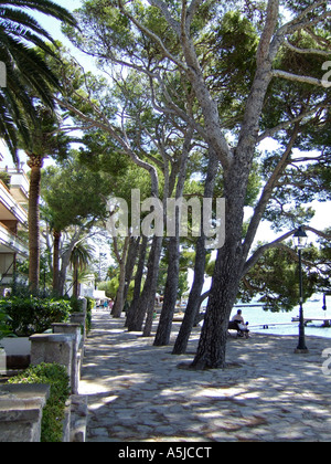 Puerto Pollenca pine walk Stock Photo - Alamy
