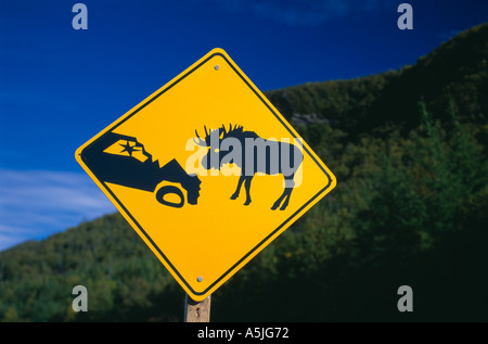Moose crossing road sign, Newfoundland, Canada Stock Photo - Alamy