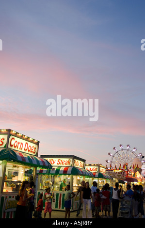 people and rides at the Illinois State Fair in Springfield Illinois ...