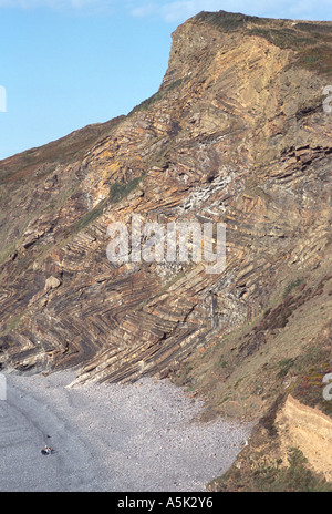 Cornwall sea cliff s at millock haven interesting zig zag rock ...
