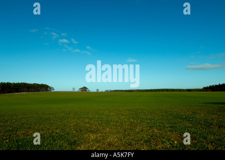 Blue sky over an open field Stock Photo - Alamy