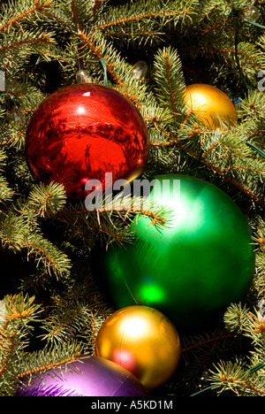 Christmas decoration. Hanging red balls on pine branches Christmas tree ...