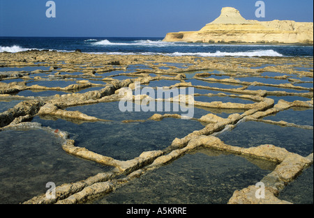 Rocky coast with evaporation basins at Xwieni Bay, Gozo island, Malta ...